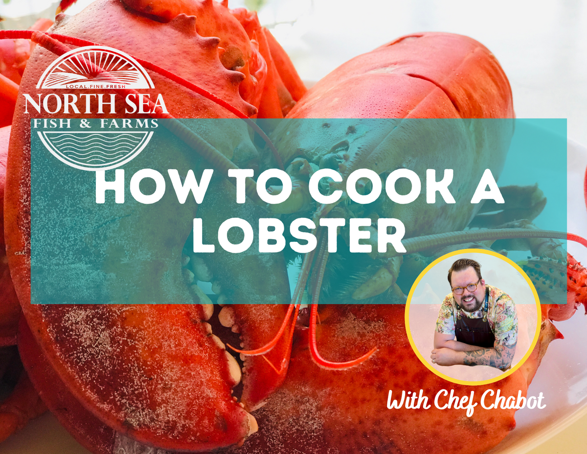 How to Cook a Lobster - Recipe with Chef Chabot – North Sea Fish & Farms