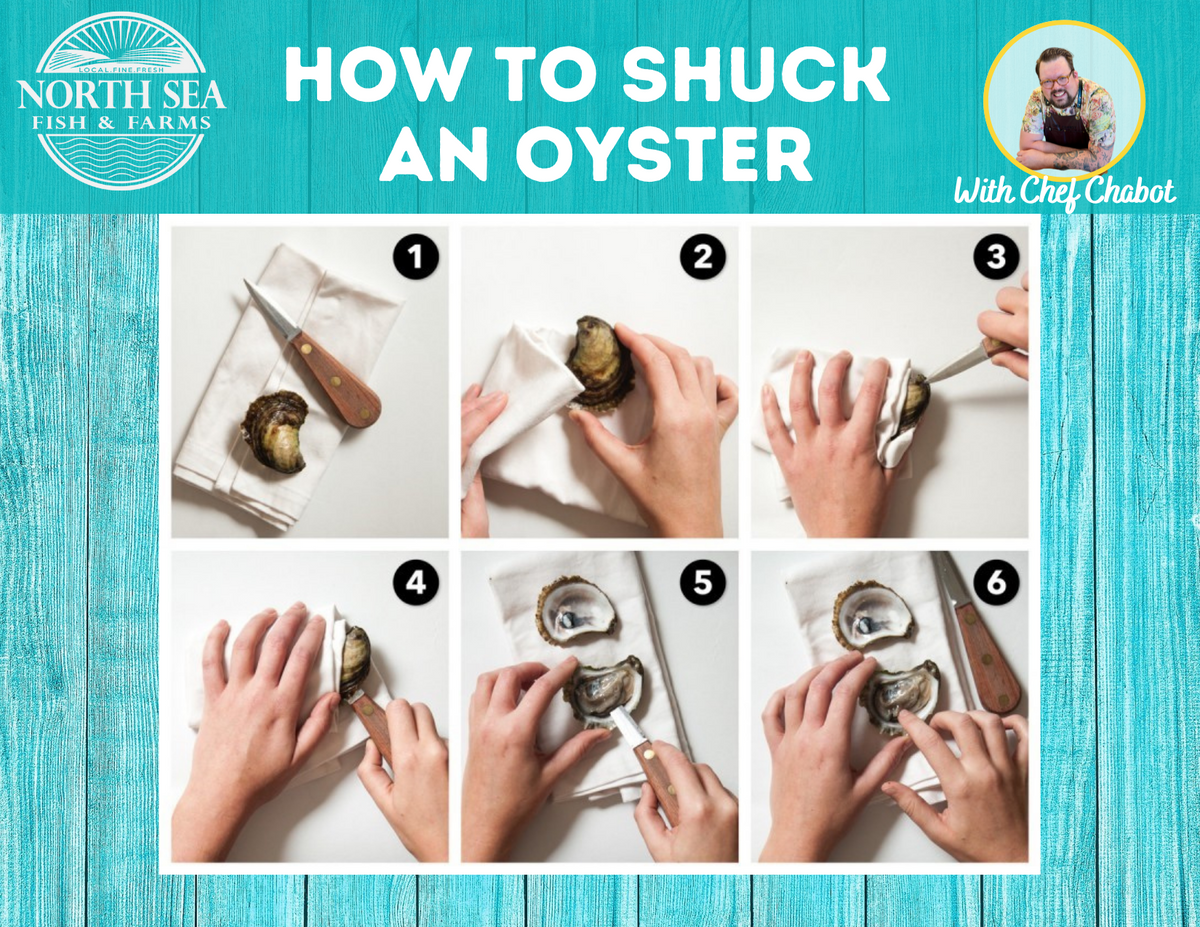 How to Shuck an Oyster - Recipe with Chef Chabot – North Sea Fish & Farms