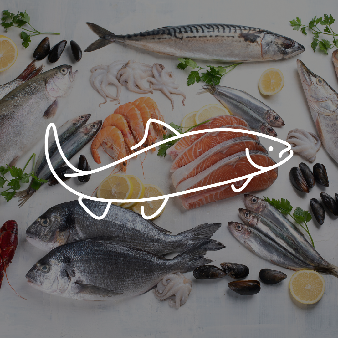 Fin Fish & Flat Fish – North Sea Fish & Farms
