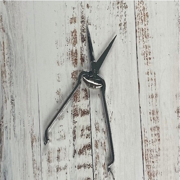 Lobster Shears – North Sea Fish & Farms